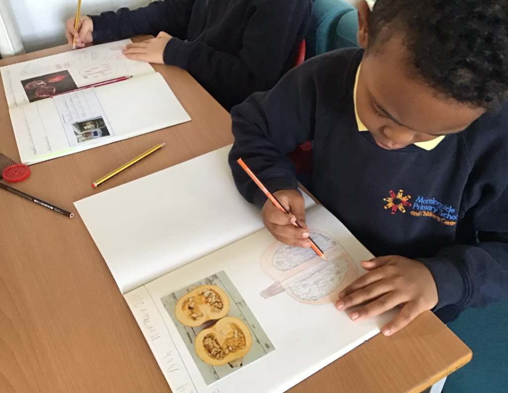 Morningside Primary School | What is happening in Year 2?
